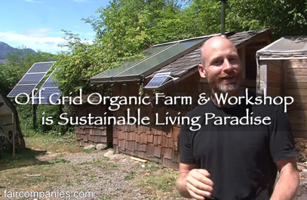 Organska farma i radionica van mreže su raj održivog života - Samoodrživost